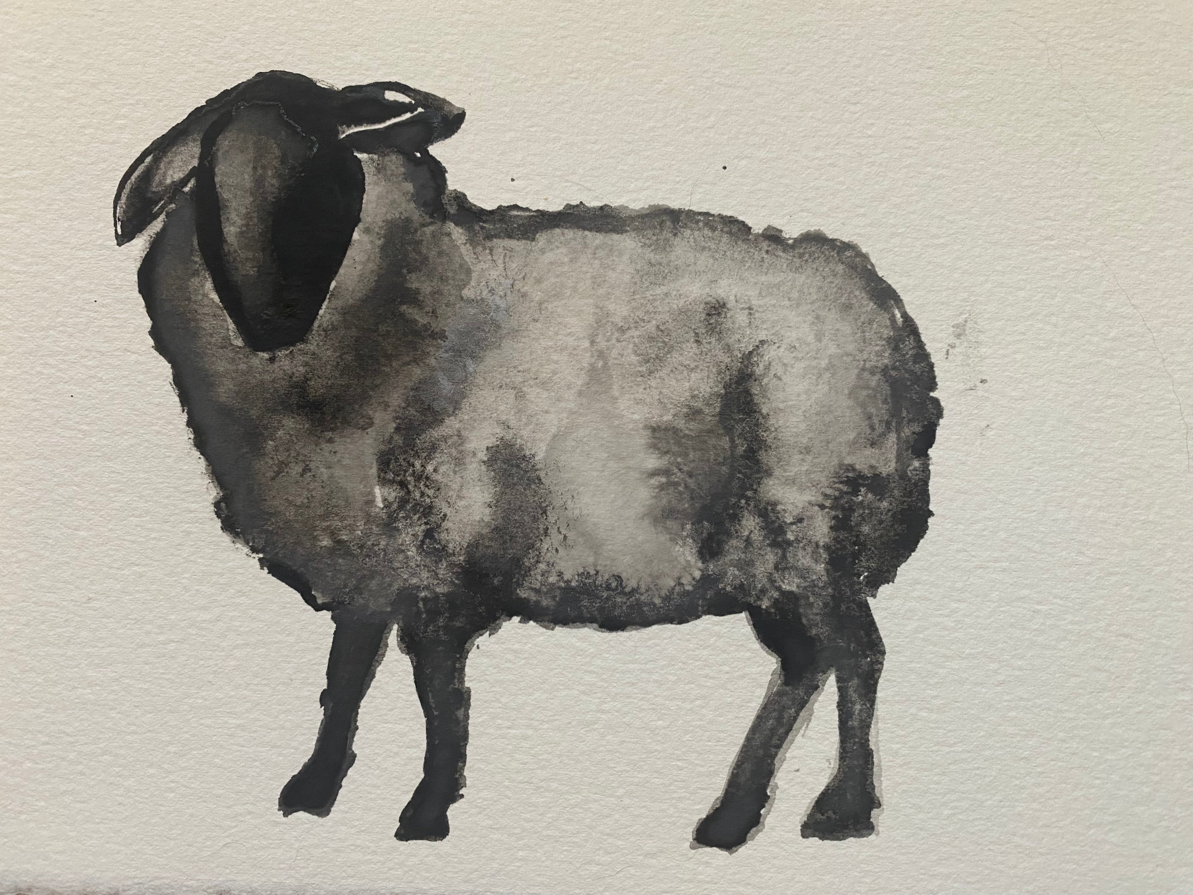 Black Sheep Spice Company